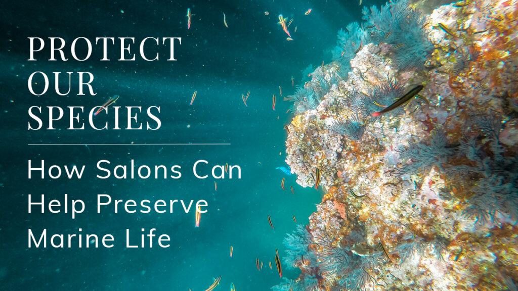 Protect Our Species: How Salons Can Help Preserve Marine Life - Simply ...